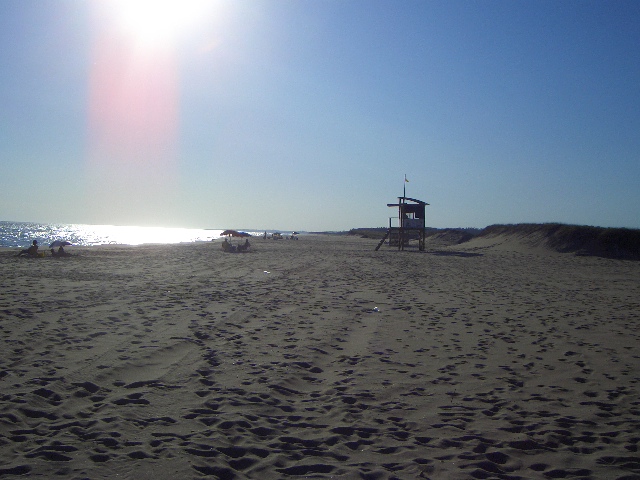 Foto reporte: Playa Chihuahua - naturismouruguay.org