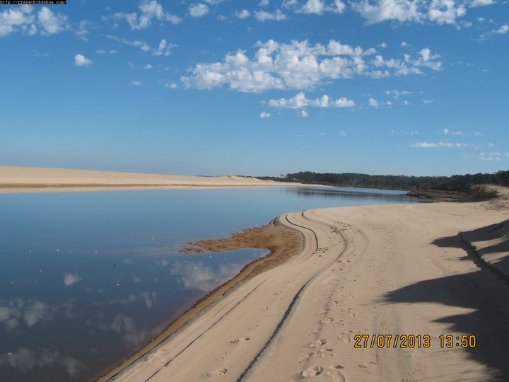 Chihuahua – El potrero - naturismouruguay.org