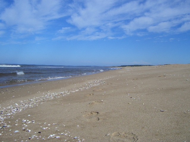 Septiembre Playa naturista Chihuahua - naturismouruguay.org