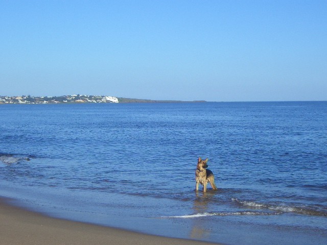 Foto reporte: Playa Chihuahua-El Potrero - naturismouruguay.org