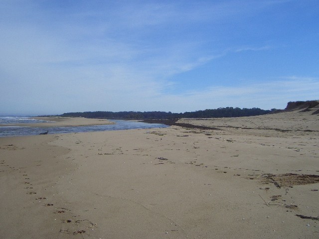 Foto reporte: Playa Chihuahua-El Potrero - naturismouruguay.org