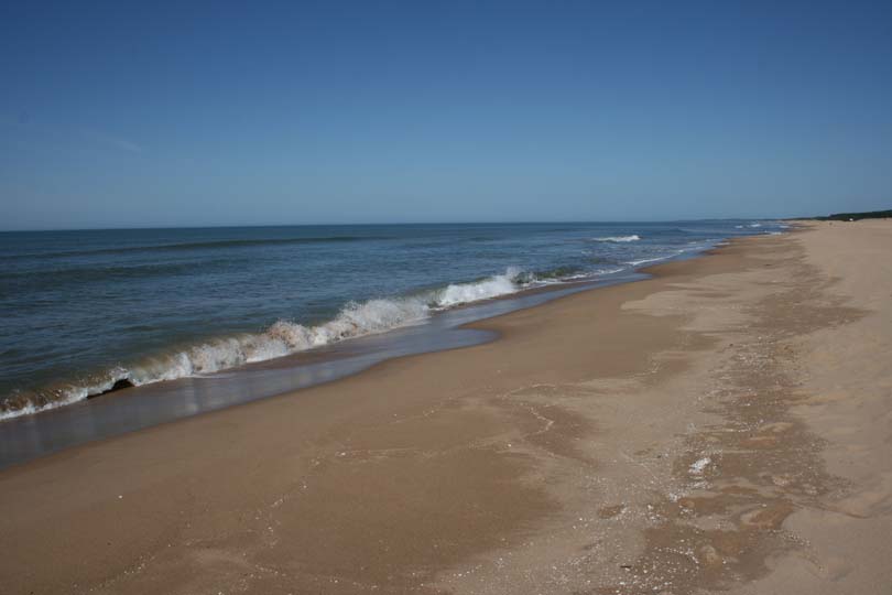 Playa Chihuahua, Punta del Este - naturismouruguay.org