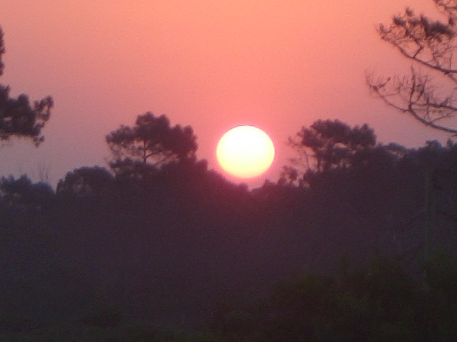 Foto reporte: Playa Chihuahua - naturismouruguay.org