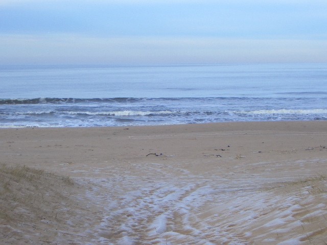 Foto reporte: Playa Chihuahua-El Potrero - naturismouruguay.org