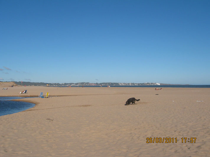 PLaya chihuahua - naturismouruguay.org